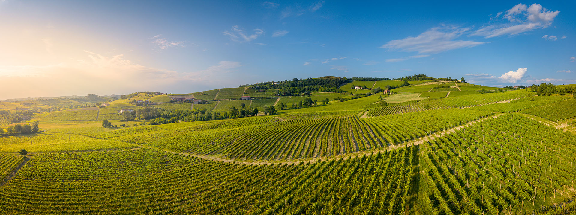 NOVAG – Agrochemical